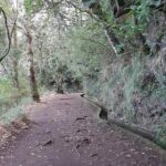 Madeira: Private 1.5-Kilometer Levada dos Balcões Hike PR11 - Top Takeaways