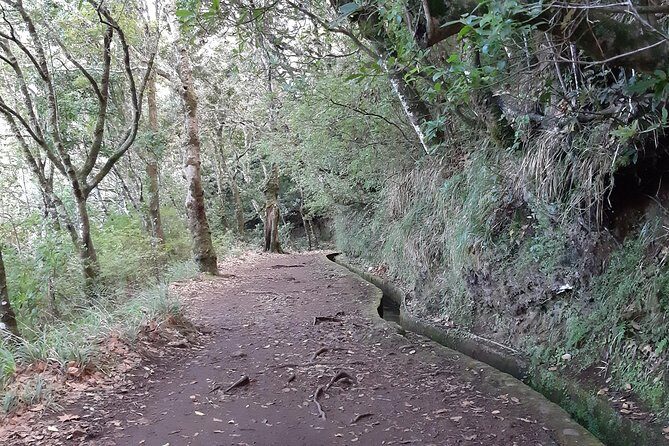Madeira: Private 1.5-Kilometer Levada dos Balcões Hike PR11 - Top Takeaways