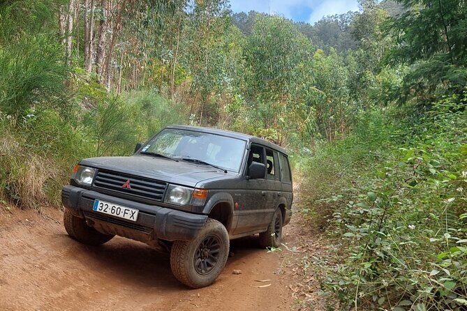 Madeira West 4x4 Jeep Safari: Wild Coast, Lava Pools & Fanal - What Makes This Tour Stand Out