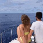 Madeira: Whale and Dolphin Watching Private Cruise - The Experiences Review Highlights