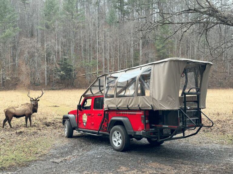 Maggie Valley: Guided Safari Jeep Mile-High Adventure - Who Will Love This Tour?