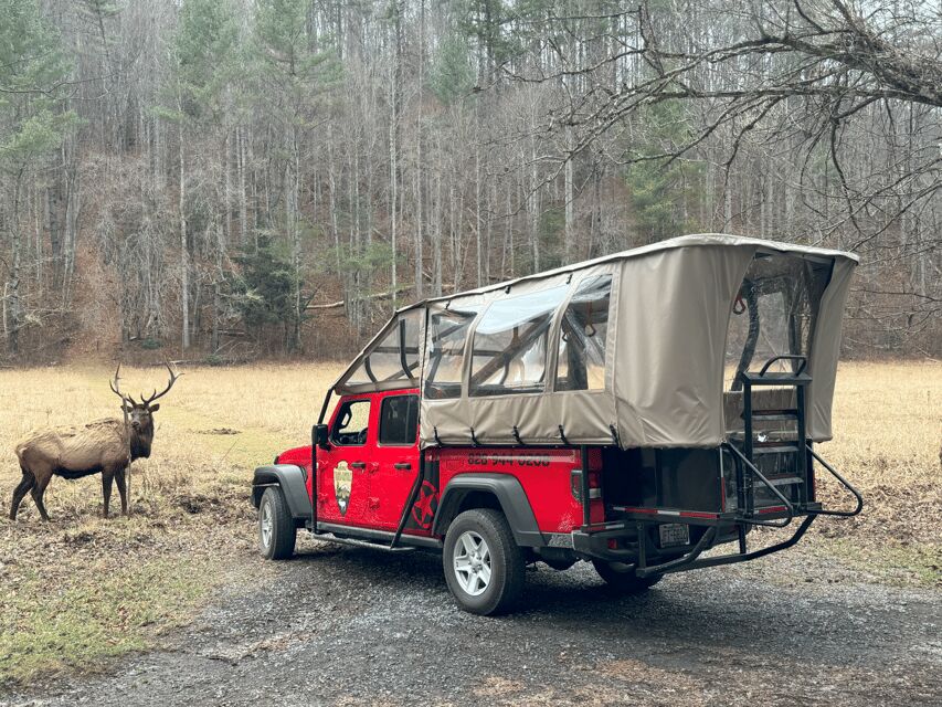 Maggie Valley: Guided Safari Jeep Mile-High Adventure - Who Will Love This Tour?
