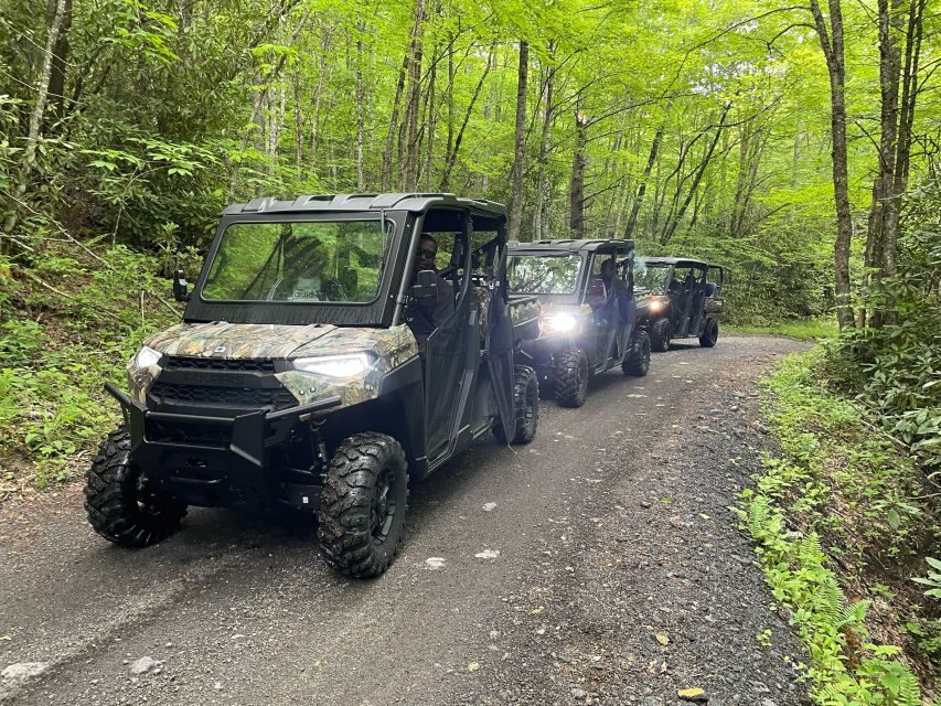 Maggie Valley: Guided Scenic UTV Adventure - Who Will Love This Experience?