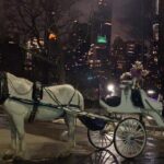 Magical Evening Horse-Drawn Carriage through NYC (65 min) - Final Thoughts