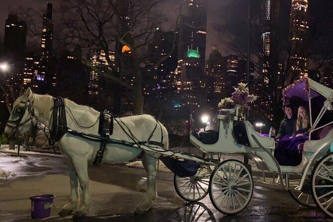 Magical Evening Horse-Drawn Carriage through NYC (65 min) - Final Thoughts