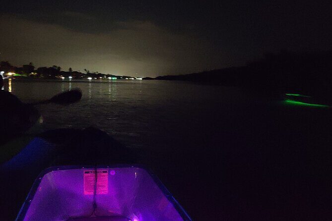 Magical Nite Glow Kayak Tour - Why This Tour Works Well