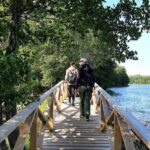 Magical Taiga Forest Hike with Lunch and Transportation - What the Reviews Say