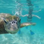 Mahina Hawaii Full Day Adventure - A Day in the Life: What to Expect