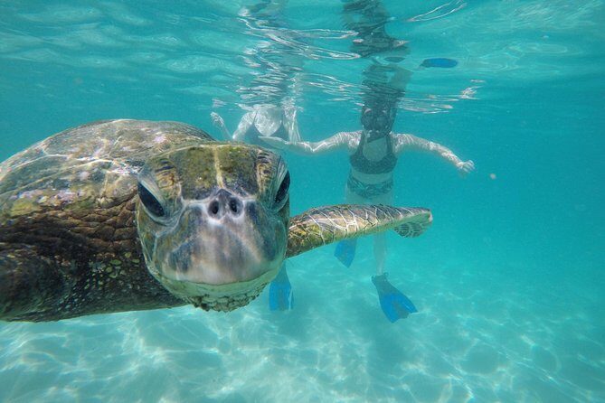 Mahina Hawaii Full Day Adventure - A Day in the Life: What to Expect