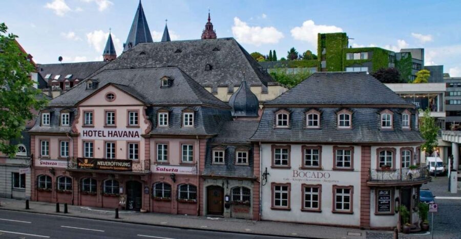 Mainz: Private Walking Tour With Professional Guide - FAQs