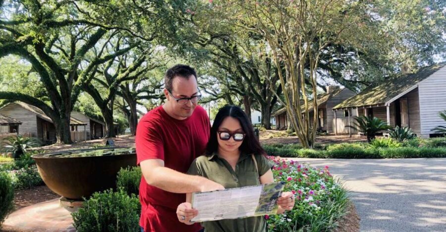 Majestic Oak Alley Plantation Tour - Detailed Breakdown of the Itinerary