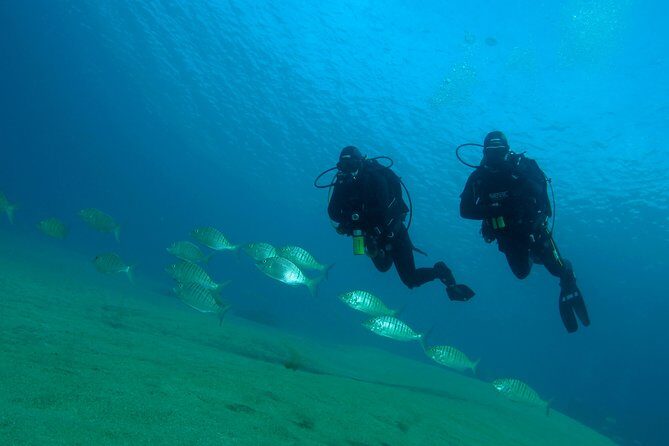 Make a private Try Dive, for your first Scuba experience! - Frequently Asked Questions
