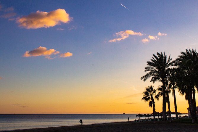 Malaga Highlights, Old Town & Viewpoints Walking Tour - Authenticity and Traveler Feedback