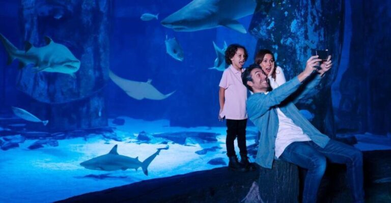 Mall of America: Sea Life Minnesota Aquarium Entry Ticket - Walking Through the Exhibits