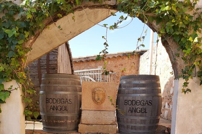 Mallorca Bodega & Olive Minibus Tour incl. Pick-up South Coast - FAQ