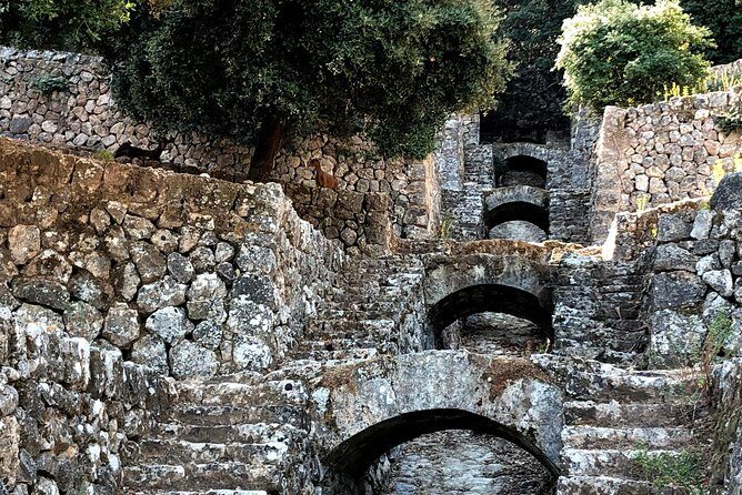 Mallorca Hidden Marvels: Guided Routes for Small Groups - What Travelers Say