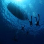 Malta: Guided Shore Dives in Malta for Certified Divers - Who Will Love This Tour?