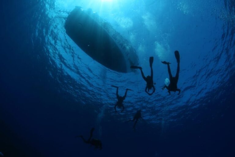 Malta: Guided Shore Dives in Malta for Certified Divers - Who Will Love This Tour?
