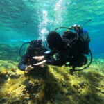 Malta: St. Paul's Bay 1 Day Scuba Diving Course - Final Thoughts