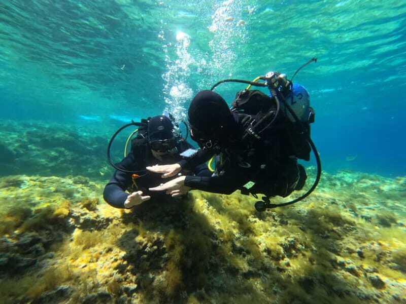 Malta: St. Paul's Bay 1 Day Scuba Diving Course - Final Thoughts