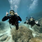 Malte : Baptême de plongée sous-marine, Première Expérience - What to Expect: Step-by-Step Breakdown