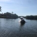 Manatee and Dolphin Kayak Tour - Final Thoughts: Who Will Love This Tour?
