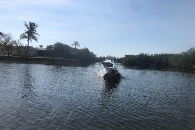 Manatee and Dolphin Kayak Tour - Final Thoughts: Who Will Love This Tour?