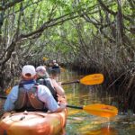 Manatees and Mangrove Tunnels Small Group Kayak Tour - The Sum Up