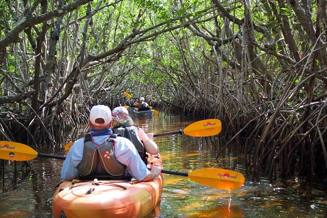 Manatees and Mangrove Tunnels Small Group Kayak Tour - The Sum Up