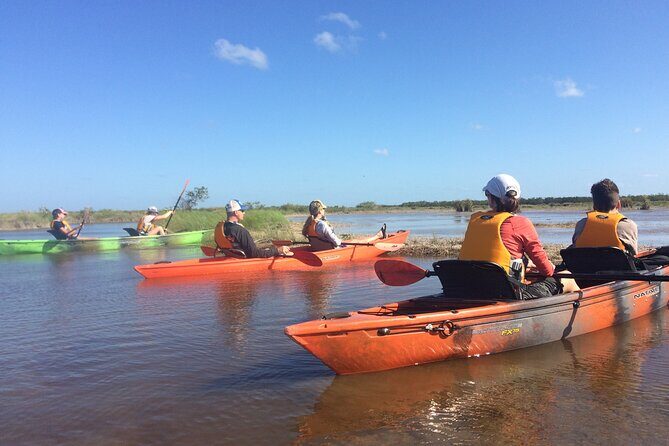 Manatees, Grasslands and Mangroves kayak Tour (Small Group Tour) - Who Should Take This Tour?
