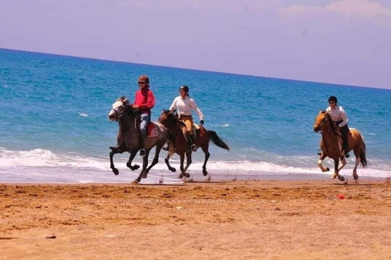 Manavgat Side: Horse Riding on the Beach and in the Forest - What the Tour Looks Like
