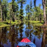 Manchac Swamp EXTENDED Kayak Tour with Pickup - What Travelers Can Expect: The Experience on the Water