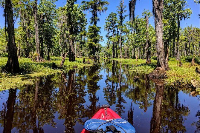 Manchac Swamp EXTENDED Kayak Tour with Pickup - What Travelers Can Expect: The Experience on the Water
