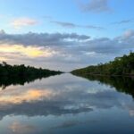 Mangrove and Gulf Excursion Tour - Who This Tour Is Best For
