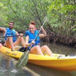 Mangrove Jungle Exploration on SUP/Kayak - Who Will Love This Tour?