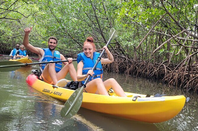 Mangrove Jungle Exploration on SUP/Kayak - Who Will Love This Tour?