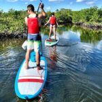 Mangrove SUP Safari - The Sum Up: The Best Choice for Nature and Wildlife Enthusiasts