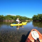 Mangrove Tunnel Kayak Adventure in Key Largo - The Itinerary Breakdown