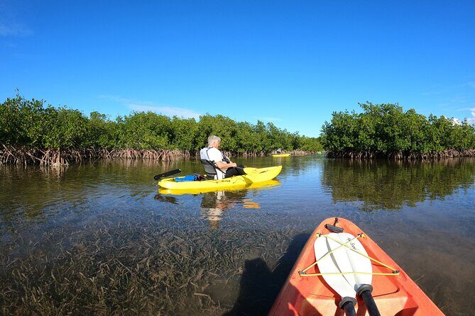 Mangrove Tunnel Kayak Adventure in Key Largo - The Itinerary Breakdown