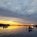 Mangrove Tunnels, Dolphins, Manatee Tour #1 Rated in Cocoa Beach - The Itinerary in Detail