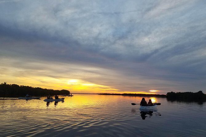 Mangrove Tunnels, Dolphins, Manatee Tour #1 Rated in Cocoa Beach - The Itinerary in Detail