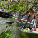 Mangrove Tunnels & Mudflats Kayak Tour - Local Biologist Guides - The Itinerary in Detail