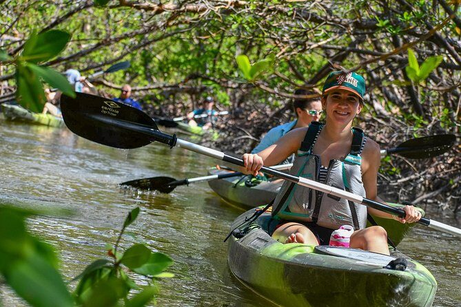 Mangrove Tunnels & Mudflats Kayak Tour - Local Biologist Guides - The Itinerary in Detail