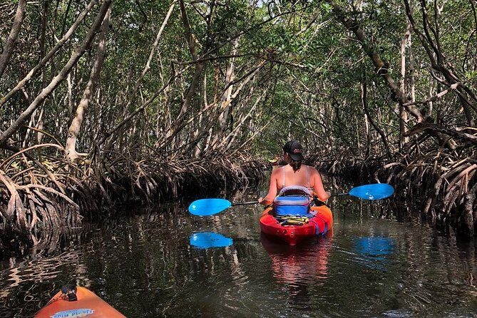 Mangrove Tunnels Pedal Kayak Eco-Tour in Anna Maria - FAQs