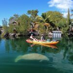 Mangroves and Manatees - Guided Kayak Eco Tour - What Each Part of the Tour Offers