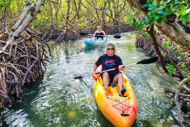 Mangroves, Manatees, and a Hidden Beach: Kayak Tour - The Sum Up