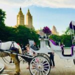 Manhattan: VIP Private Horse Carriage Ride in Central Park - Who Is This Tour Best For?