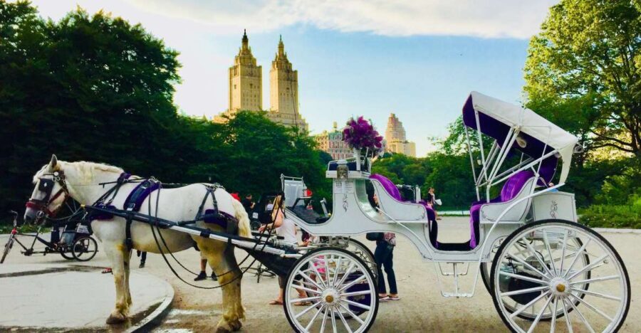 Manhattan: VIP Private Horse Carriage Ride in Central Park - Who Is This Tour Best For?