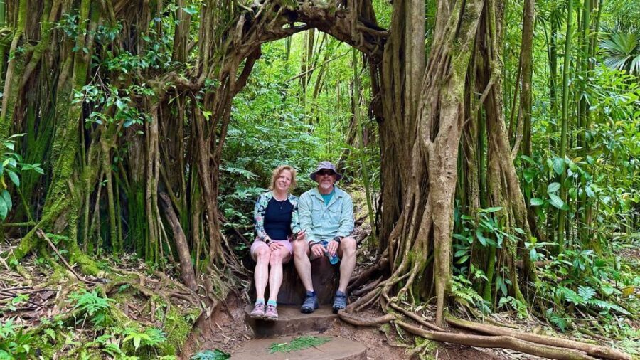 Manoa Falls eBike to Hike - An Overview of the Manoa Falls eBike to Hike Experience