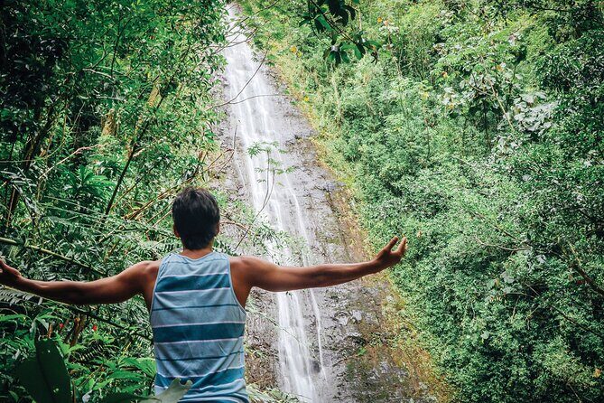 Manoa Waterfall Hike From Waikiki With Healthy Lunch Included - Who Should Consider This Tour?